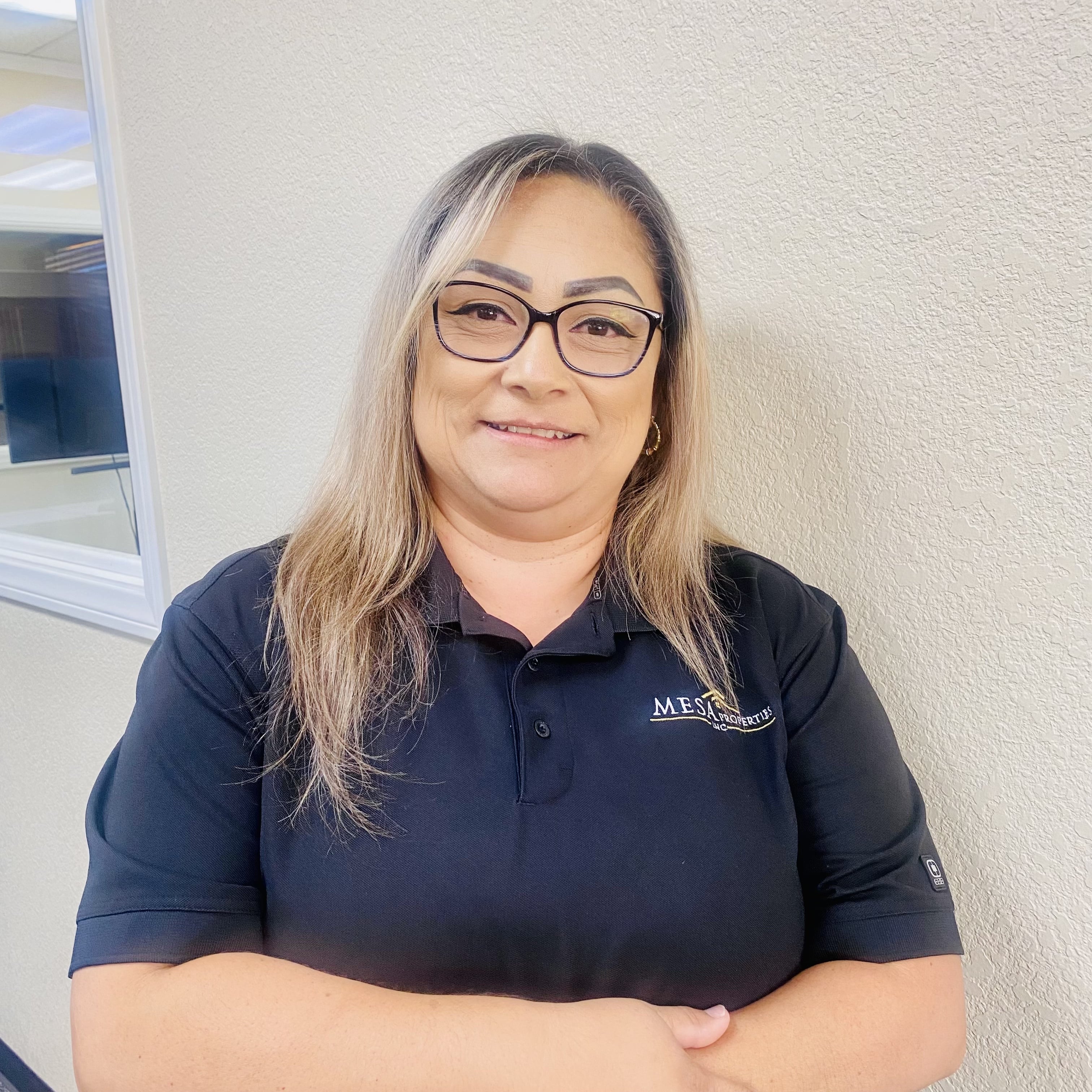 About Us | Mesa Properties, Inc.